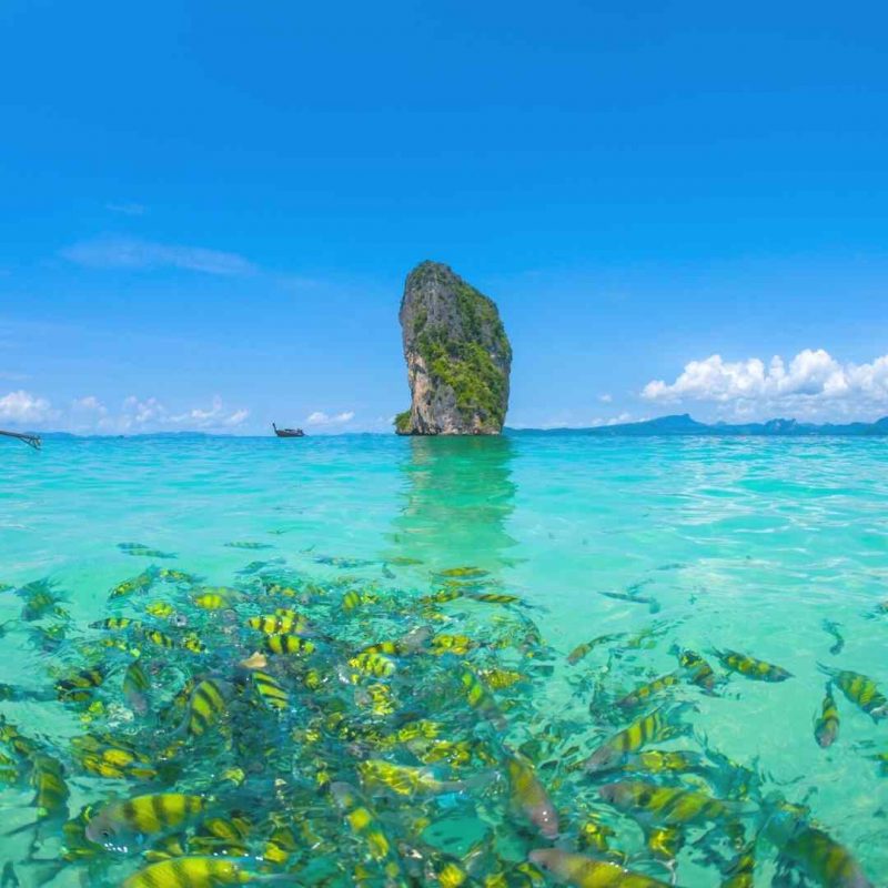 All You need to know about Krabi islands tours | Tourvado